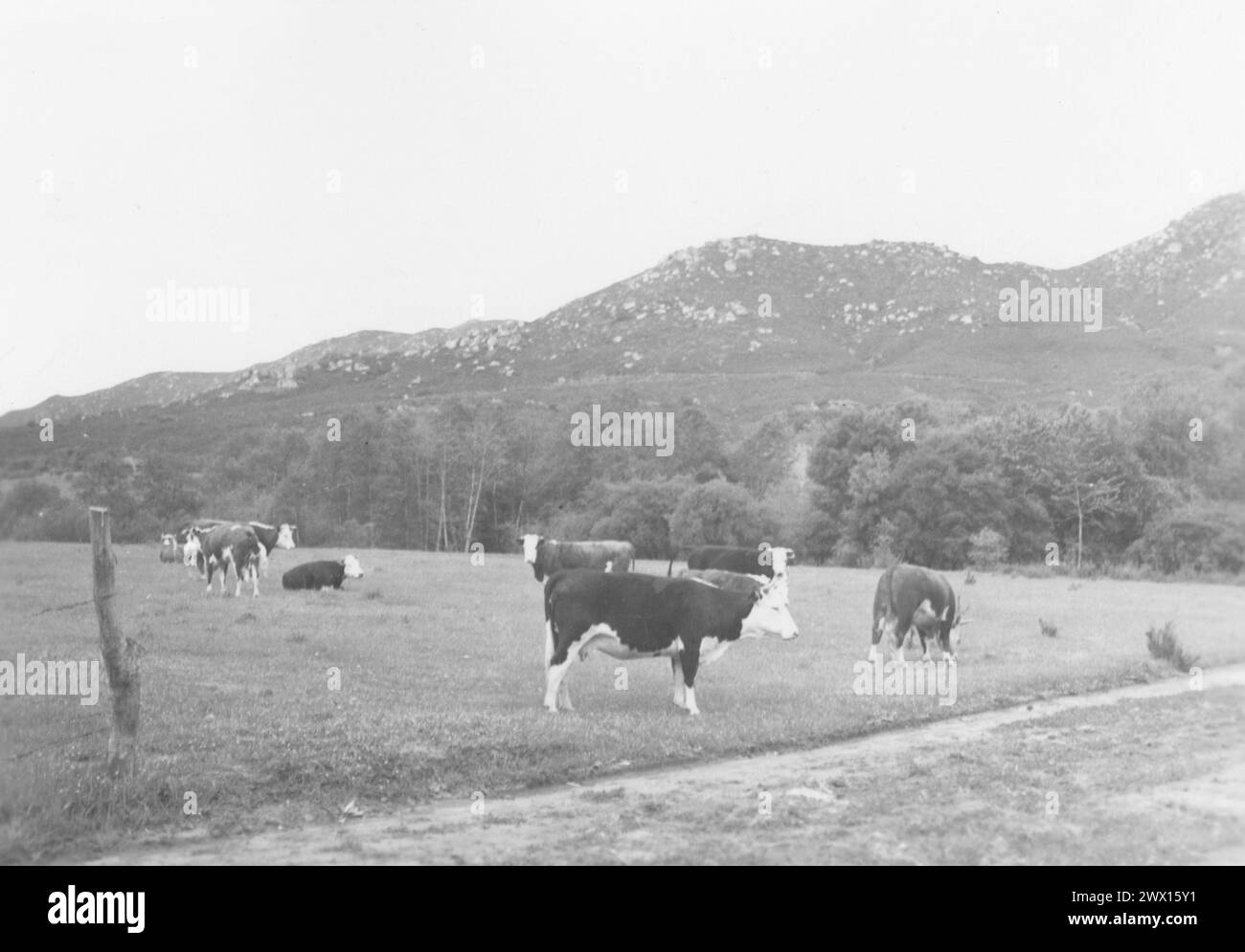 1930s rural california hi-res stock photography and images - Alamy