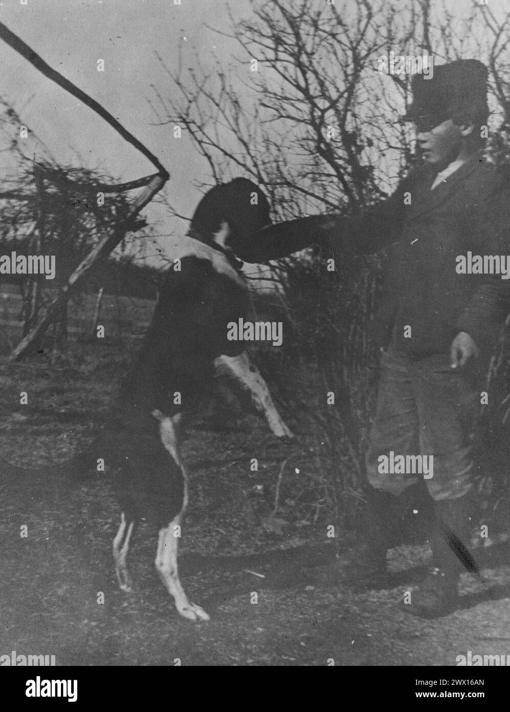 Food bowl dog on Black and White Stock Photos & Images - Alamy