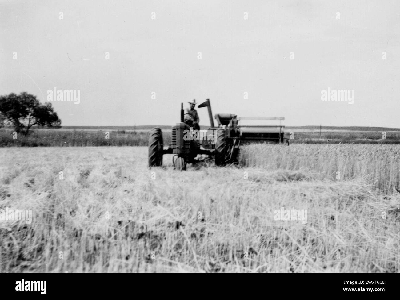 Man Cutting Hay with Tractor on a farm in Wyoming ca. 1930s or 1940s ...