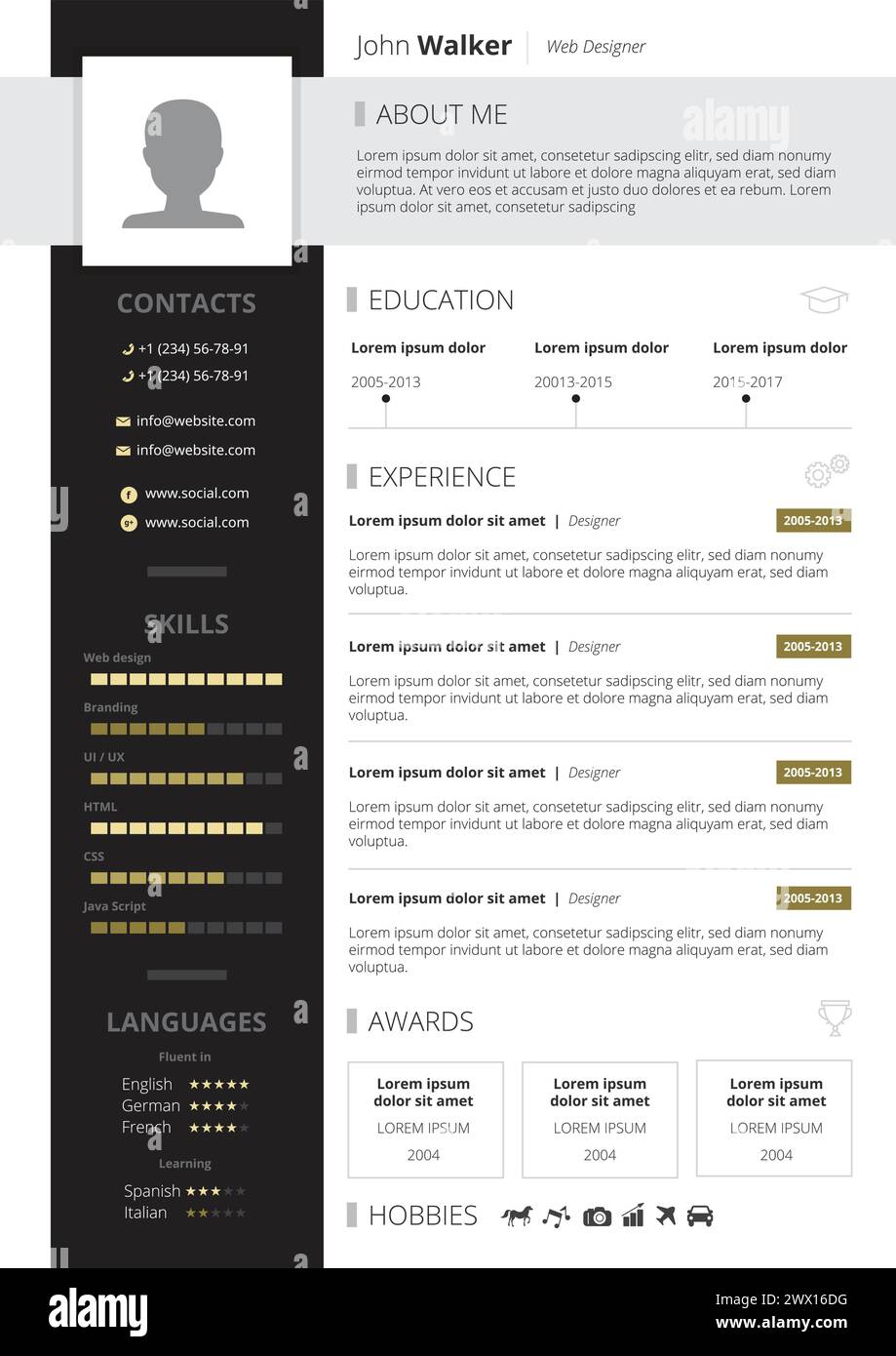CV design with education skills and awards symbols flat vector ...