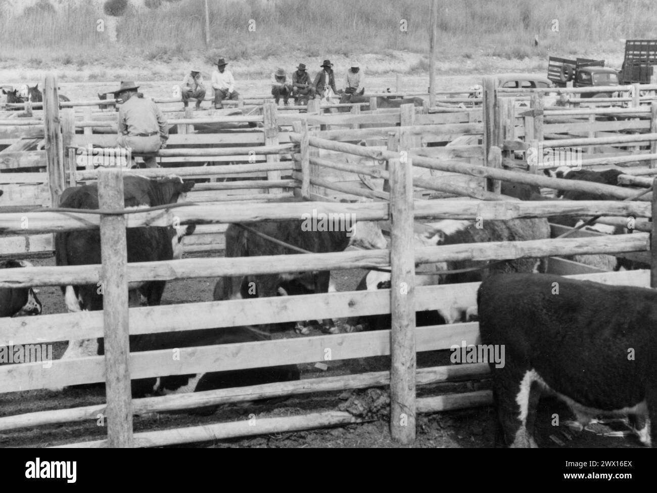 Cowboys sitting on rails of cattle pens on a Wyoming ranch ca. 1930s or ...