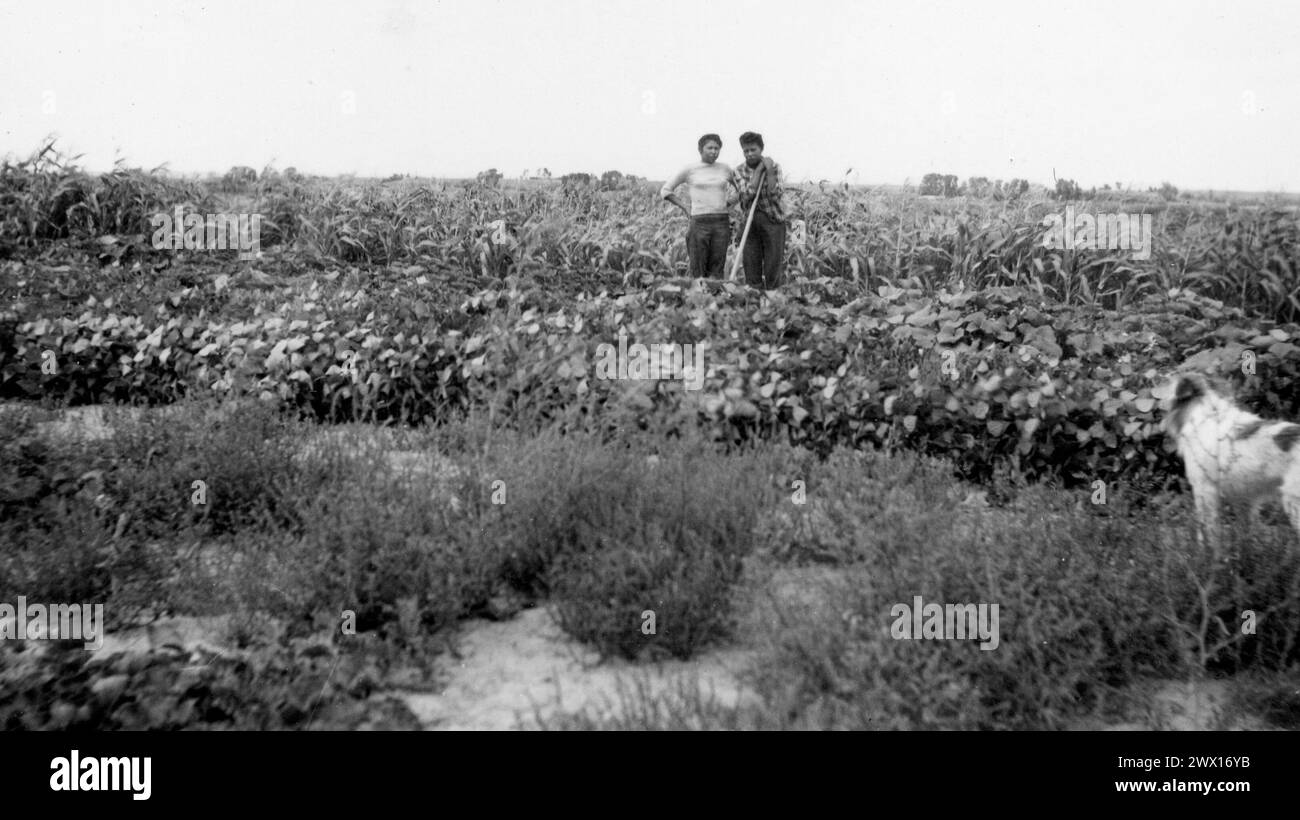 1940s manual laborers Black and White Stock Photos & Images - Alamy