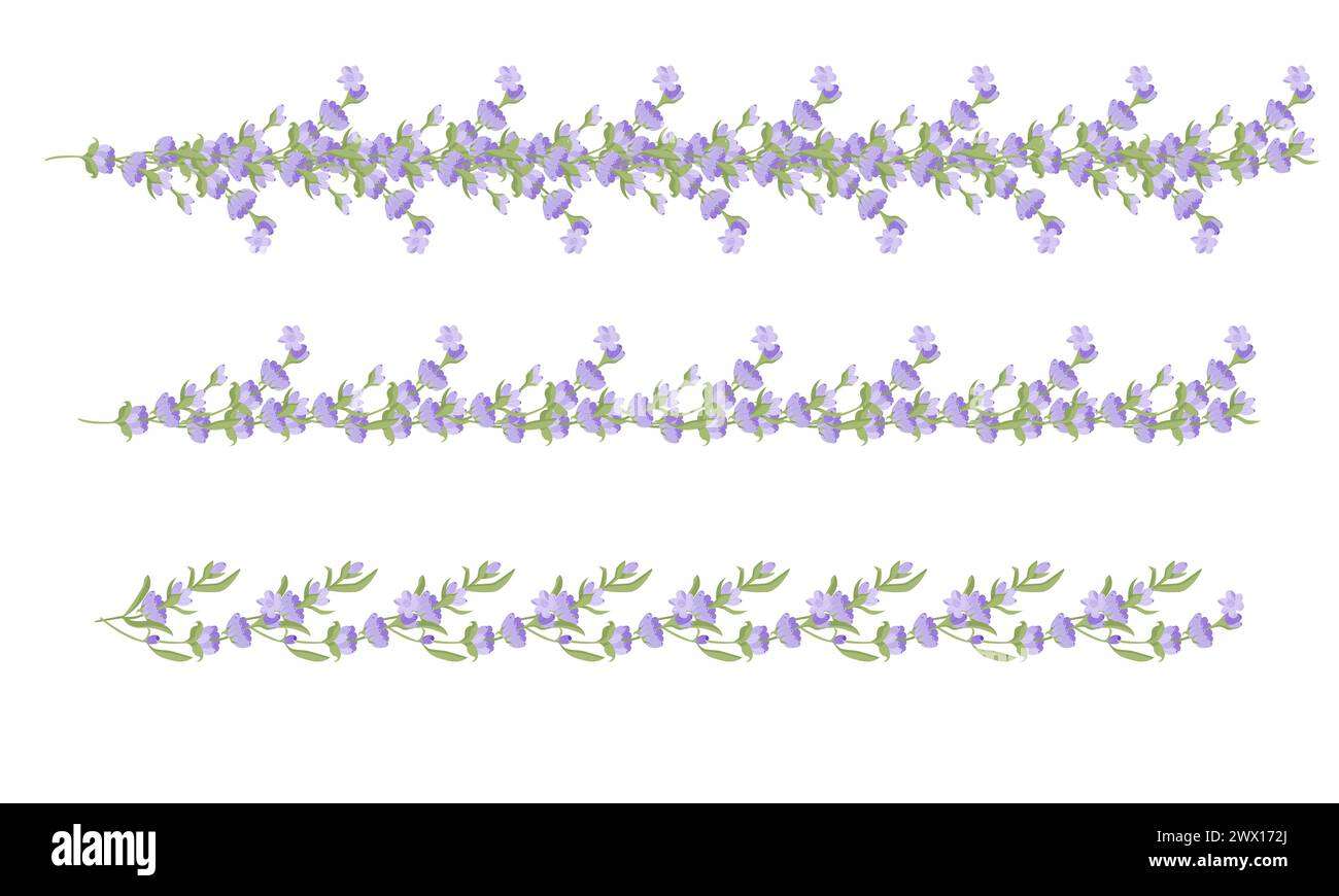 Set of decorative borders of lavender flowers for your design. Vector ...