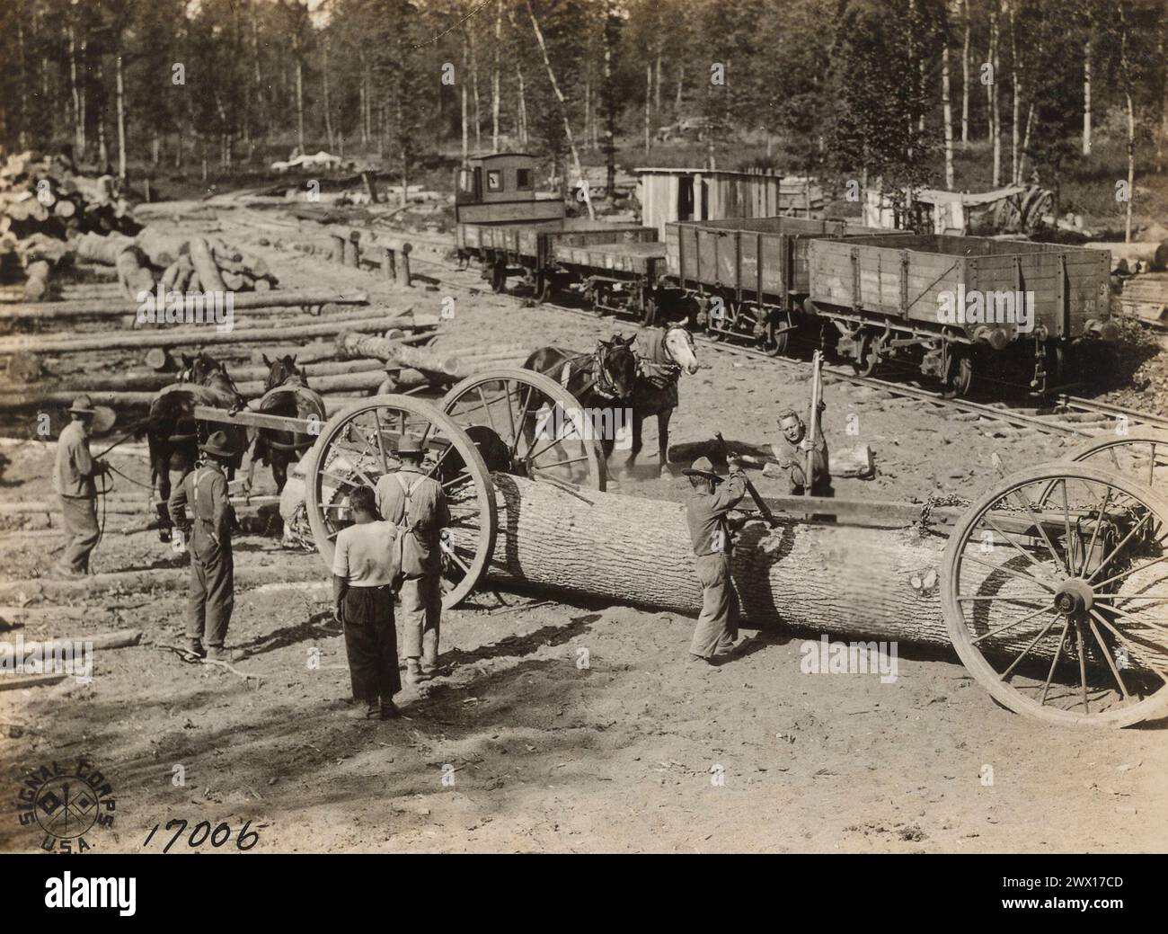 Ww i logging hi-res stock photography and images - Alamy