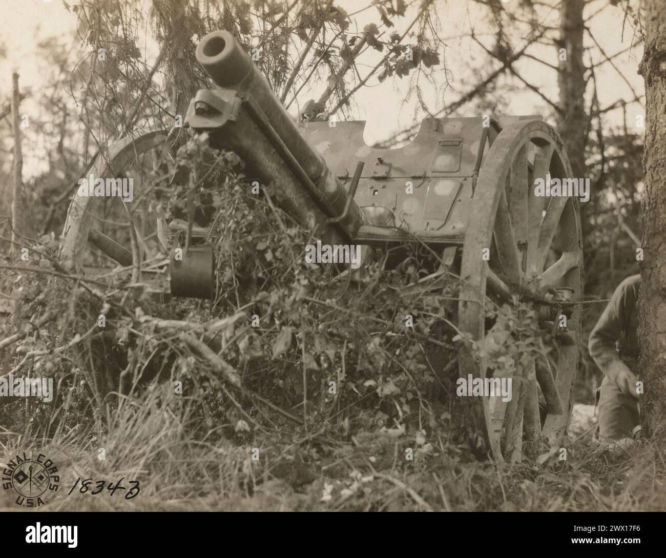 World War I Photos: German 77mm gun just taken by U.S. Troops near Mont ...