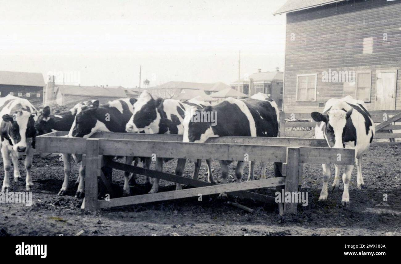 Depression era dairy farm hi-res stock photography and images - Alamy