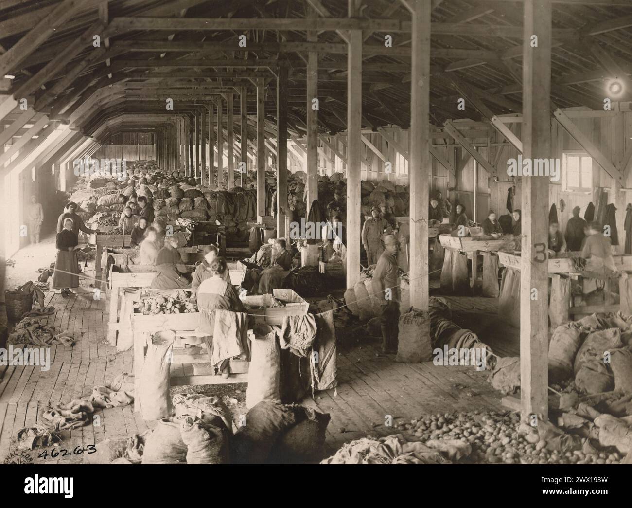 Interior of a potato storage warehouse in Coutras Gironde France where ...
