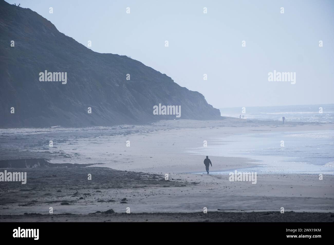 Short Sands Beach at Oswald West State Park near Manzanita, Oregon, USA ...