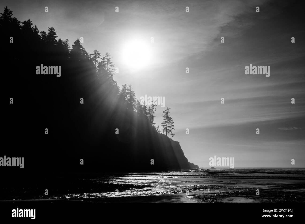 Short Sands Beach at Oswald West State Park near Manzanita, Oregon, USA ...