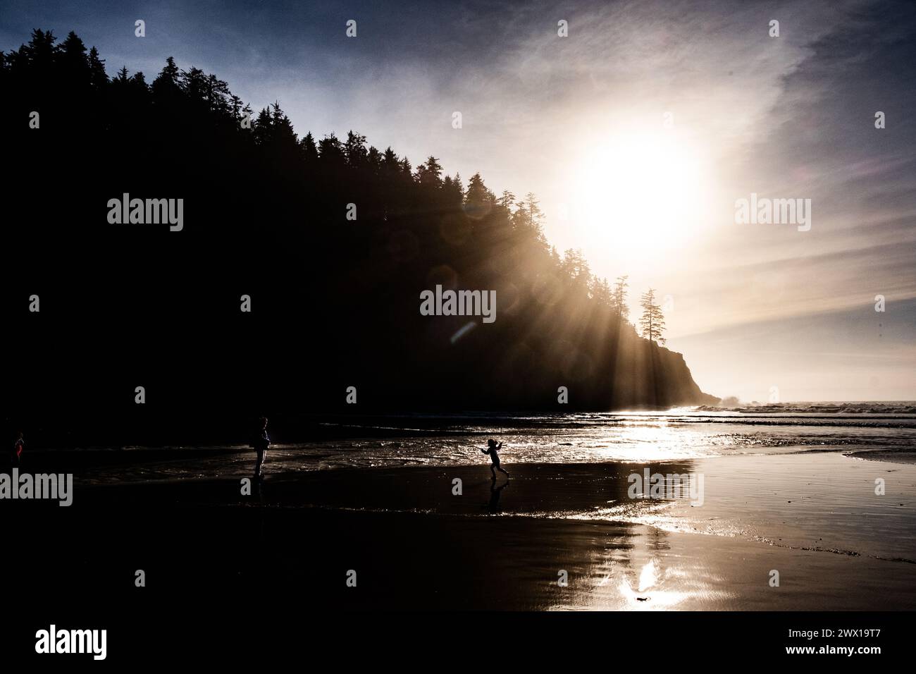Short Sands Beach at Oswald West State Park near Manzanita, Oregon, USA ...