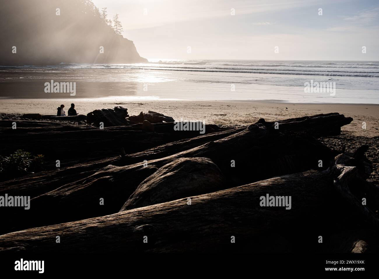 Short Sands Beach at Oswald West State Park near Manzanita, Oregon, USA ...