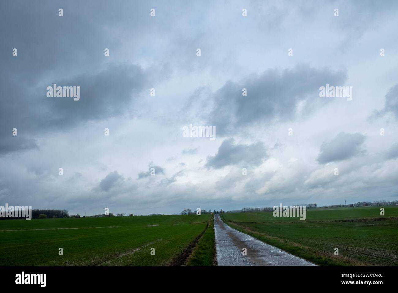 This dramatic landscape captures a rural road cutting through expansive green fields under ...
