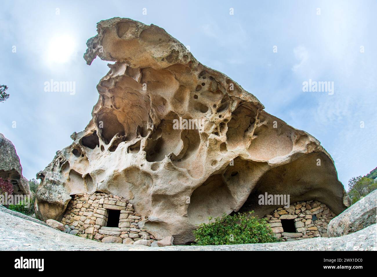 FRANCE. CORSE DU SUD, SOUTH CORSICA (2A), MONACIA D'AULLENE, SERRAGIA ...
