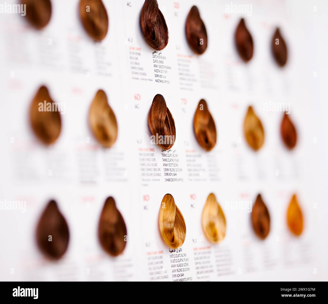 Hair color, chart and closeup of swatches at hairdresser for tone ...