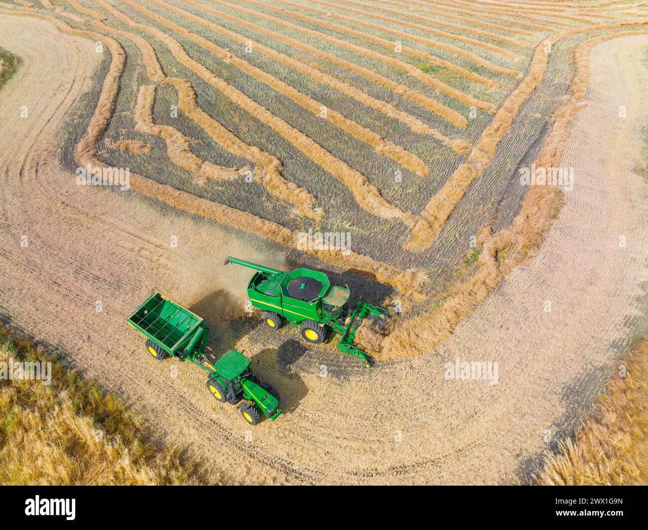 Aerial view of farm machinery working in a field harvesting a crop at ...