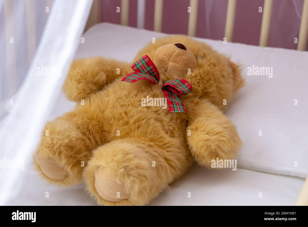 in the cradle lies a brown teddy bear, expecting the birth of a baby ...