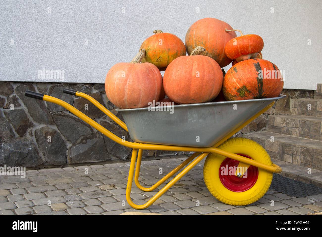 Wheelbarrow squash hi-res stock photography and images - Alamy