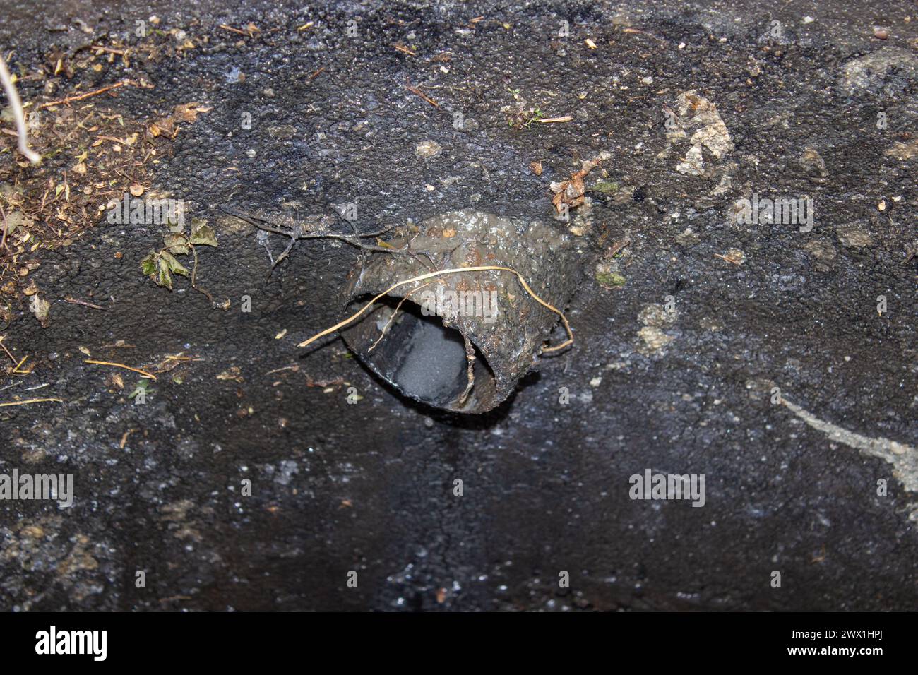 dirty sewer pit open in the yard Stock Photo - Alamy