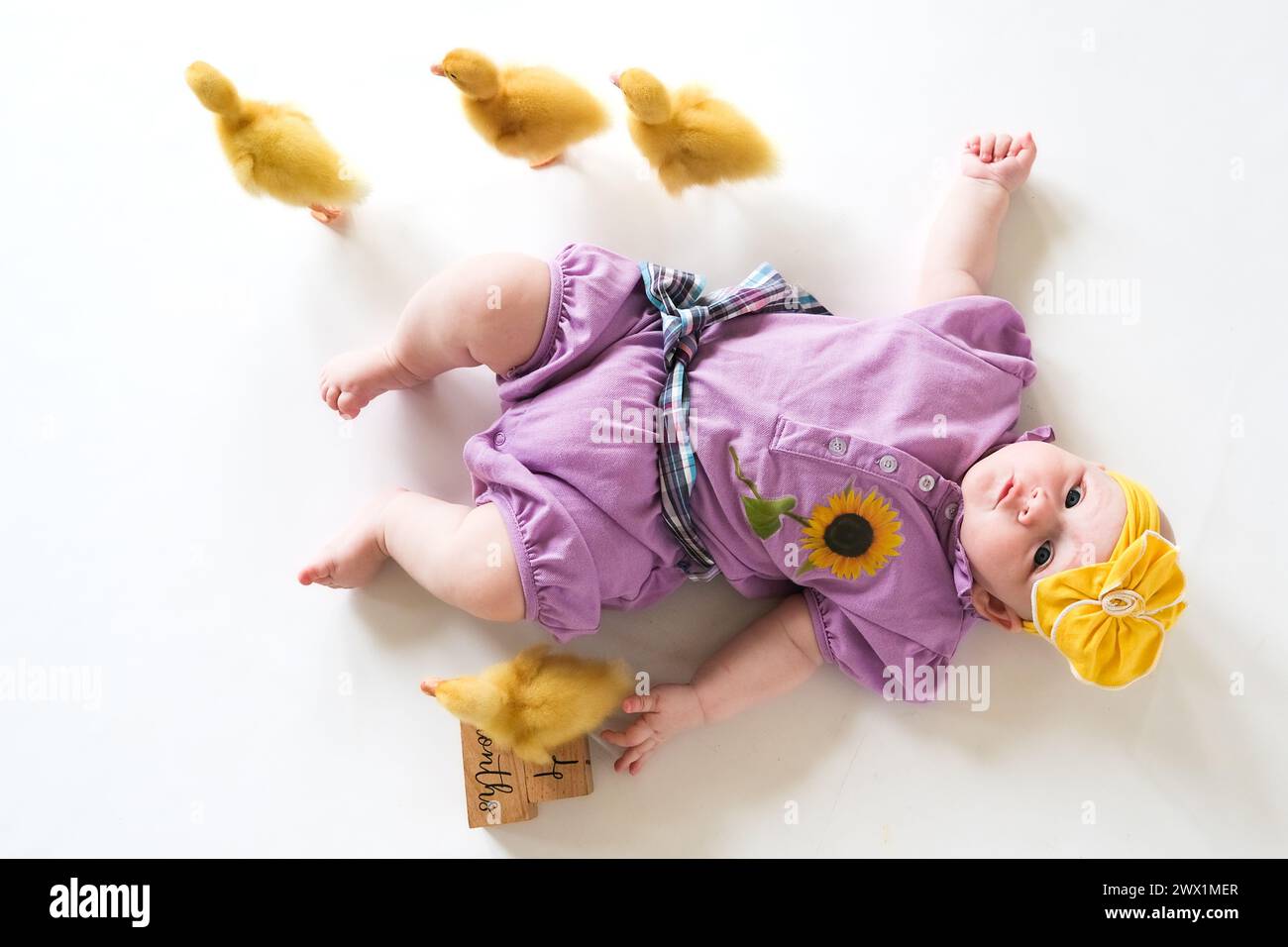 Cute child with little newborn chicks, enjoying, cute kid and animal ...