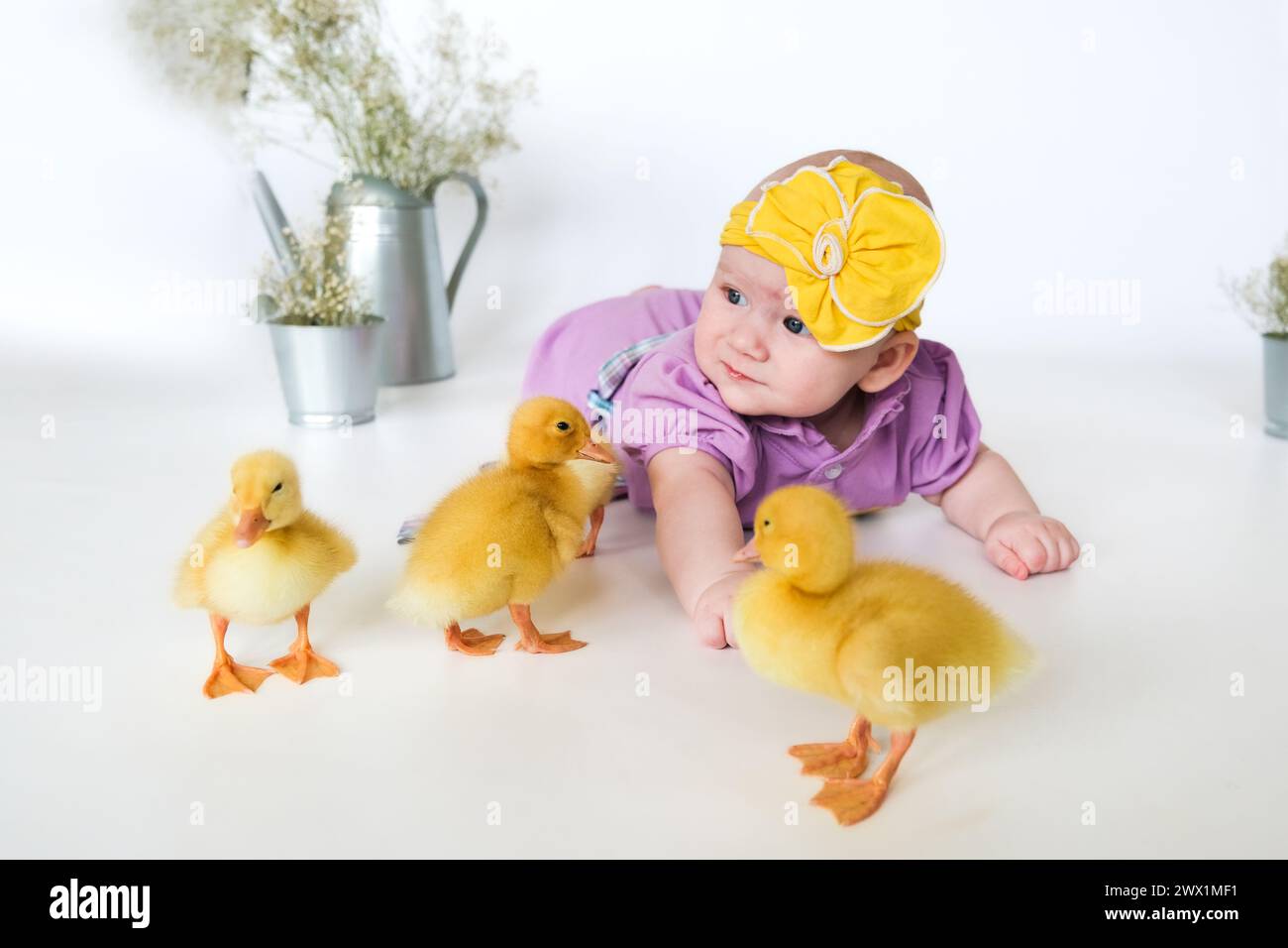 Cute child with little newborn chicks, enjoying, cute kid and animal ...