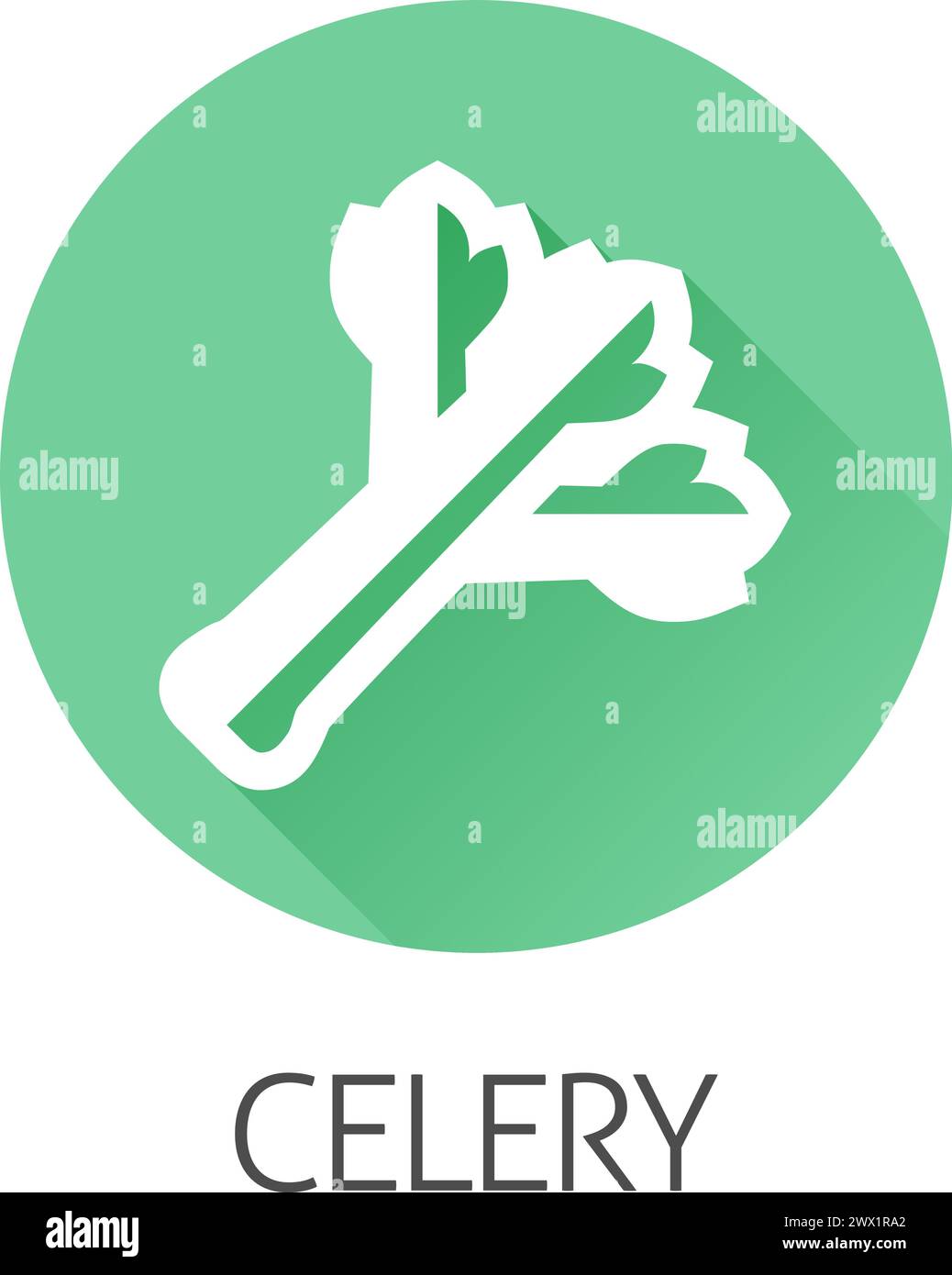 Celery Vegetable Food Allergen Icon Concept Stock Vector Image & Art ...