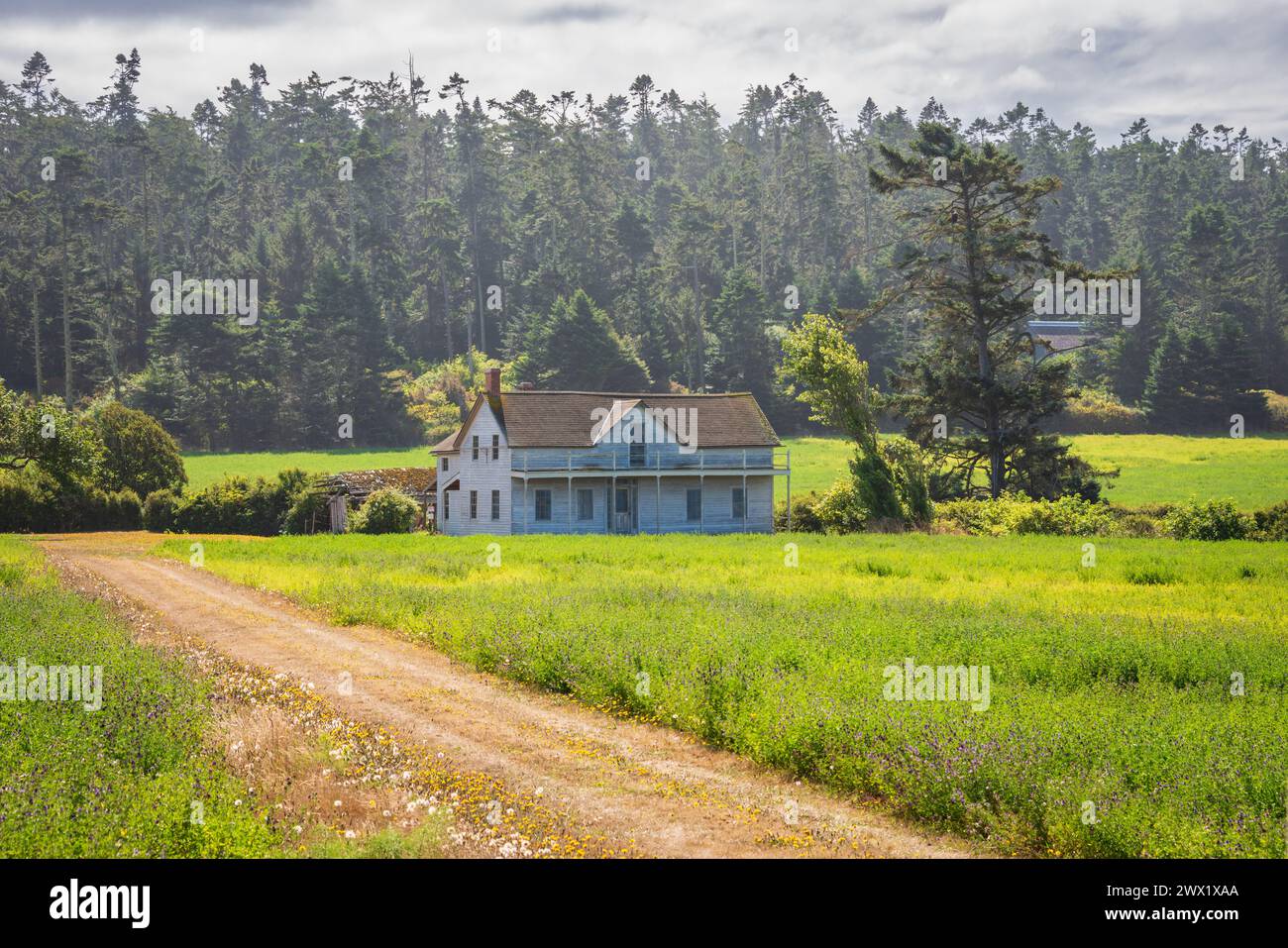 The Ebey's Landing National Historical Reserve in Washington State, USA ...