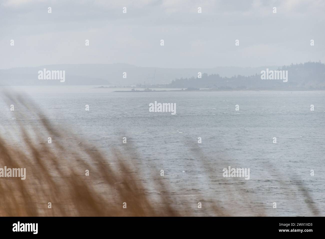 Coastal Overlook at Fort Ebey State Park in Washington State, USA Stock ...