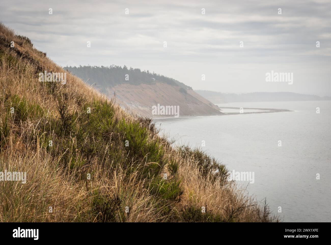 Coastal Overlook at Fort Ebey State Park in Washington State, USA Stock ...