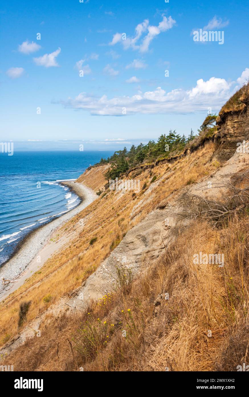 Coastal Overlook at Fort Ebey State Park in Washington State, USA Stock ...