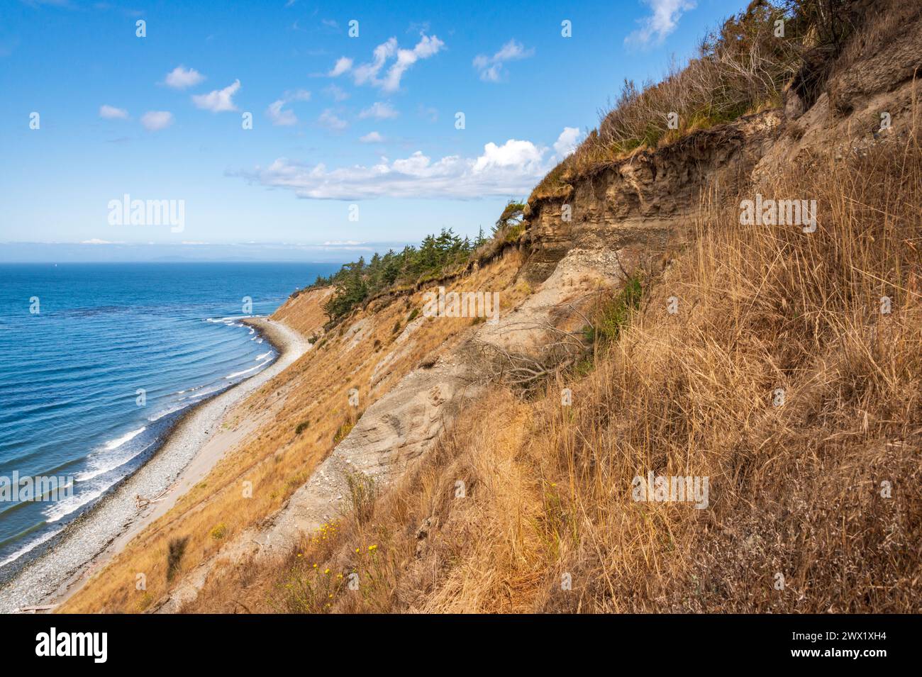 Coastal Overlook at Fort Ebey State Park in Washington State, USA Stock ...