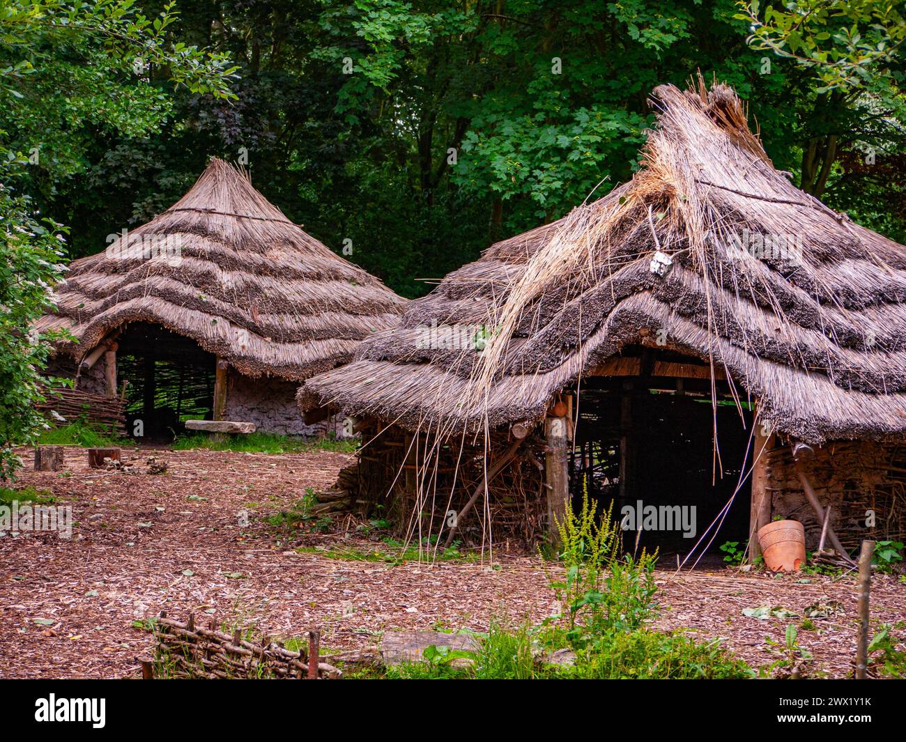 Celtic roundhouses at Mere Tun Roundhouse Village, Martin Mere ...