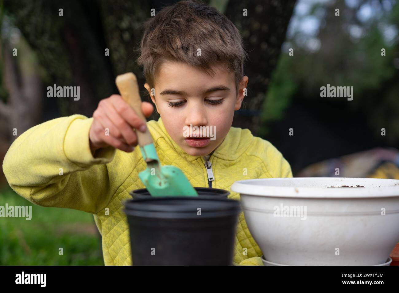 Boy planting seeds in pots outdoors Stock Photo - Alamy