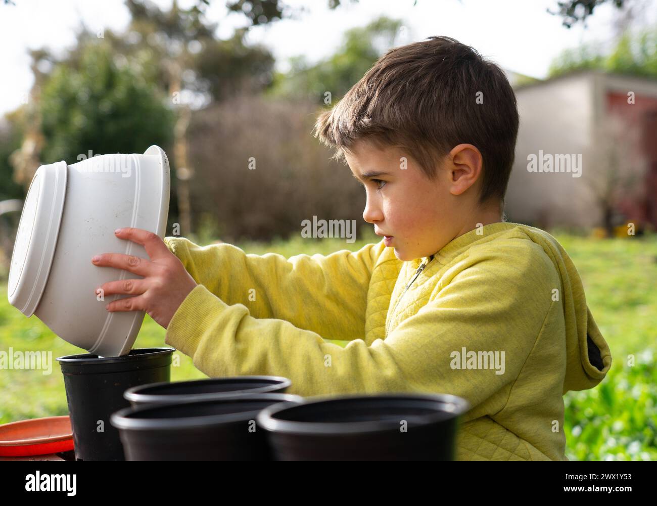 Boy planting seeds hi-res stock photography and images - Alamy