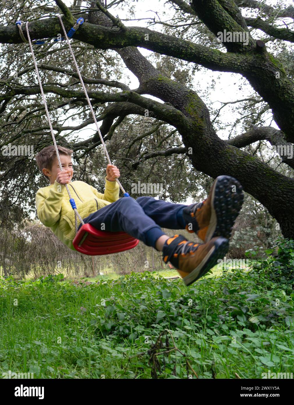 Boy riding a swing from a big tree Stock Photo - Alamy