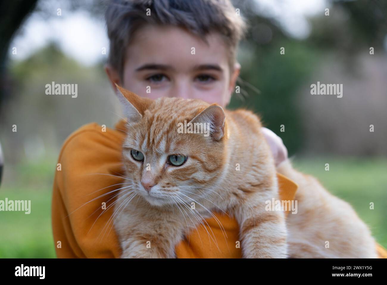 Boy with tabby cat in arms Stock Photo - Alamy