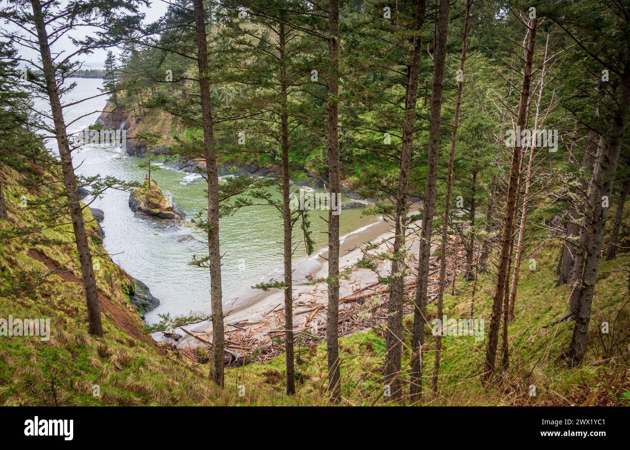 Cape Disappointment State Park in Washington State, USA Stock Photo - Alamy