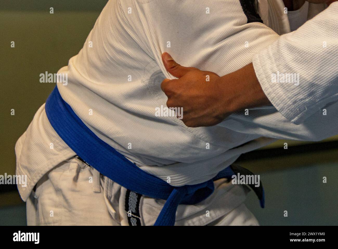 martial arts in this case jiu jitsu where you can see details of the kimono, blue belt, sweeps ...