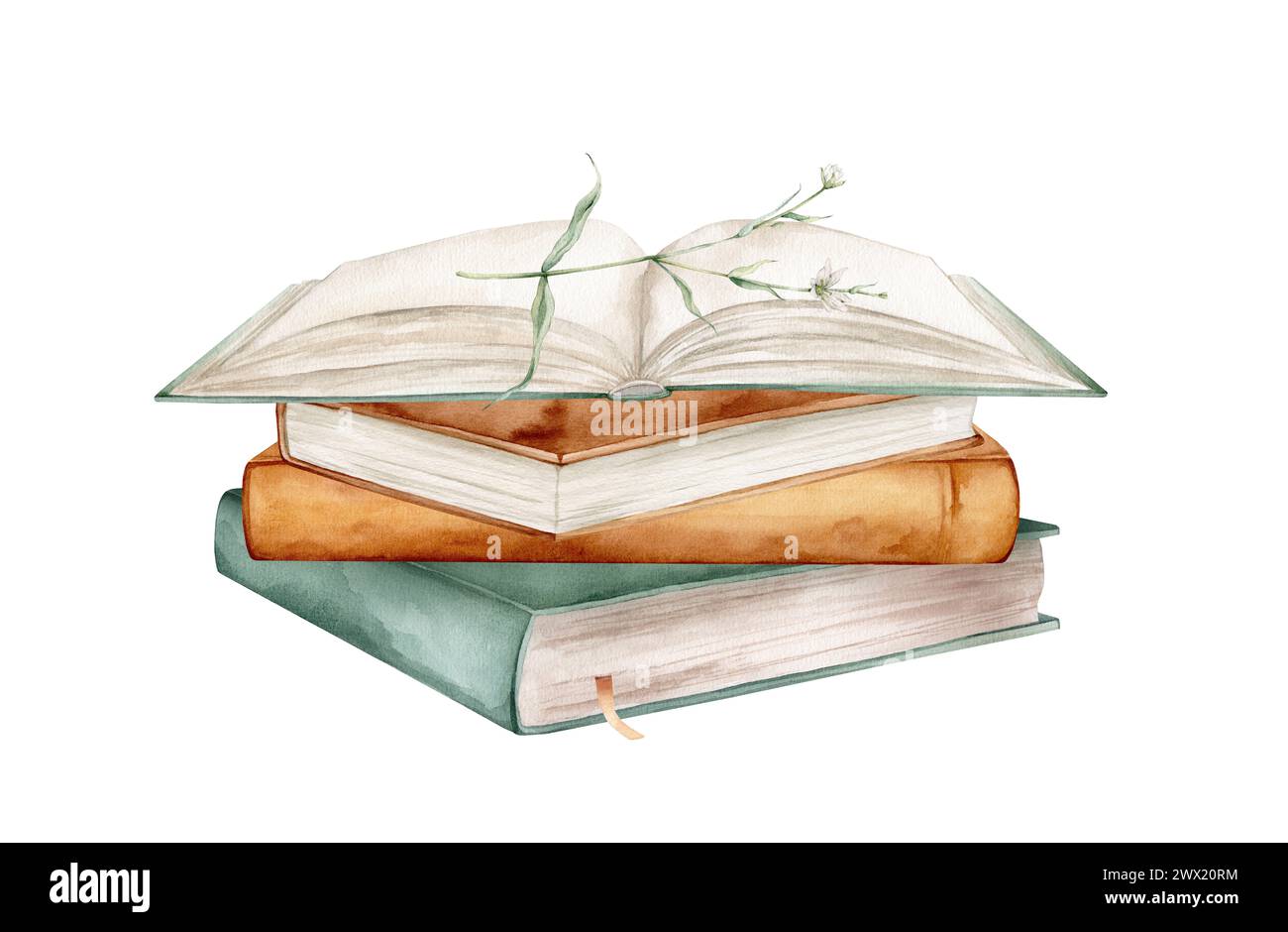 Open Book Clip Art Color Open Book Flat Stock Illustrations – 36,110