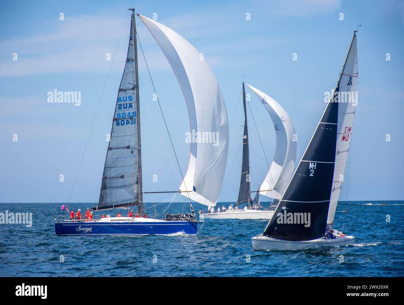 Yachts racing in Sydney Harbour, North Sydney, Sydney, New South Wales ...