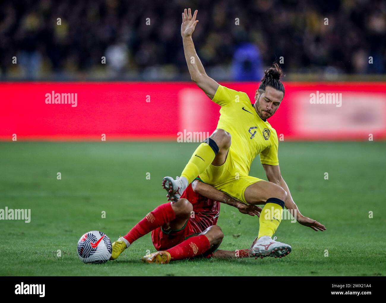 Daniel ting hi-res stock photography and images - Alamy