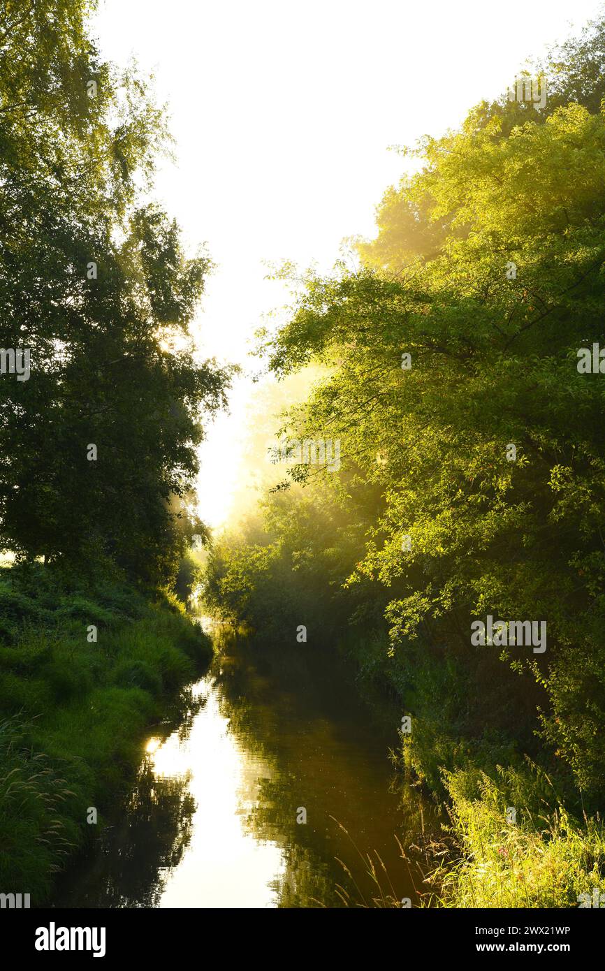 Natur am morgen hi-res stock photography and images - Alamy