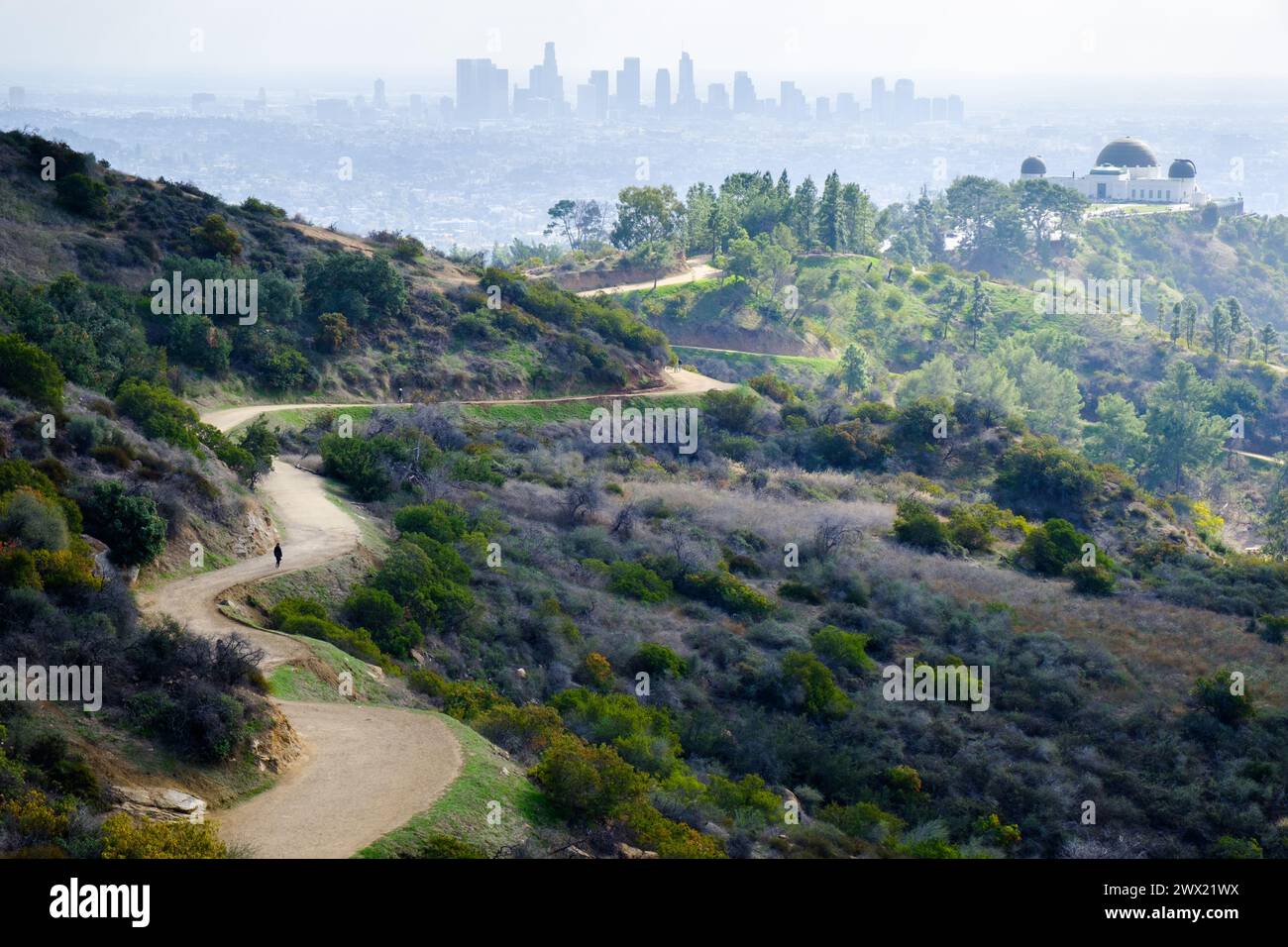 Griffith Observatory in Griffith Park, Los Angeles, California, USA. With over 4,000 acres the ...