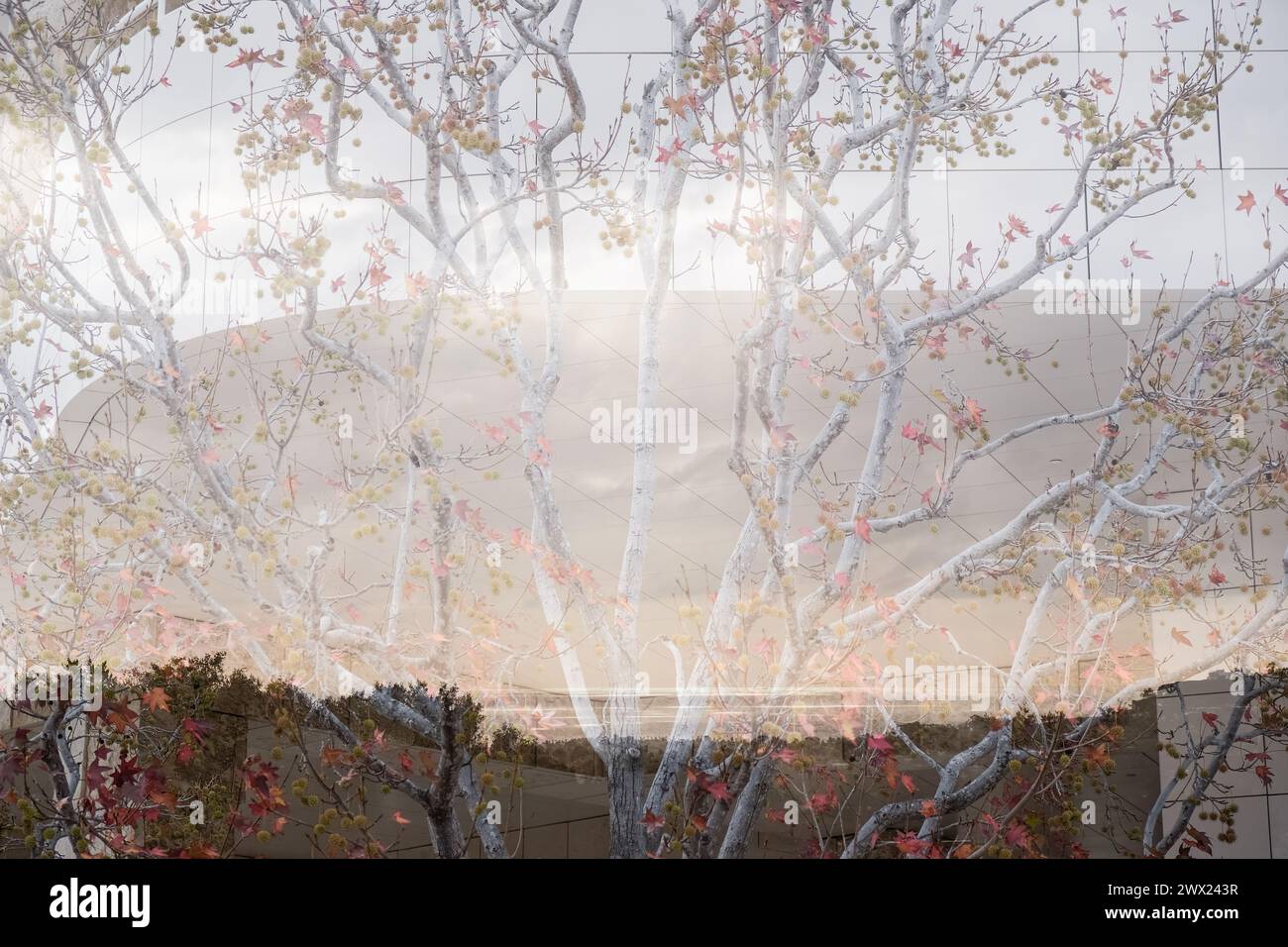 Double exposure at the Getty, art museum, The Getty Center, Los Angeles ...