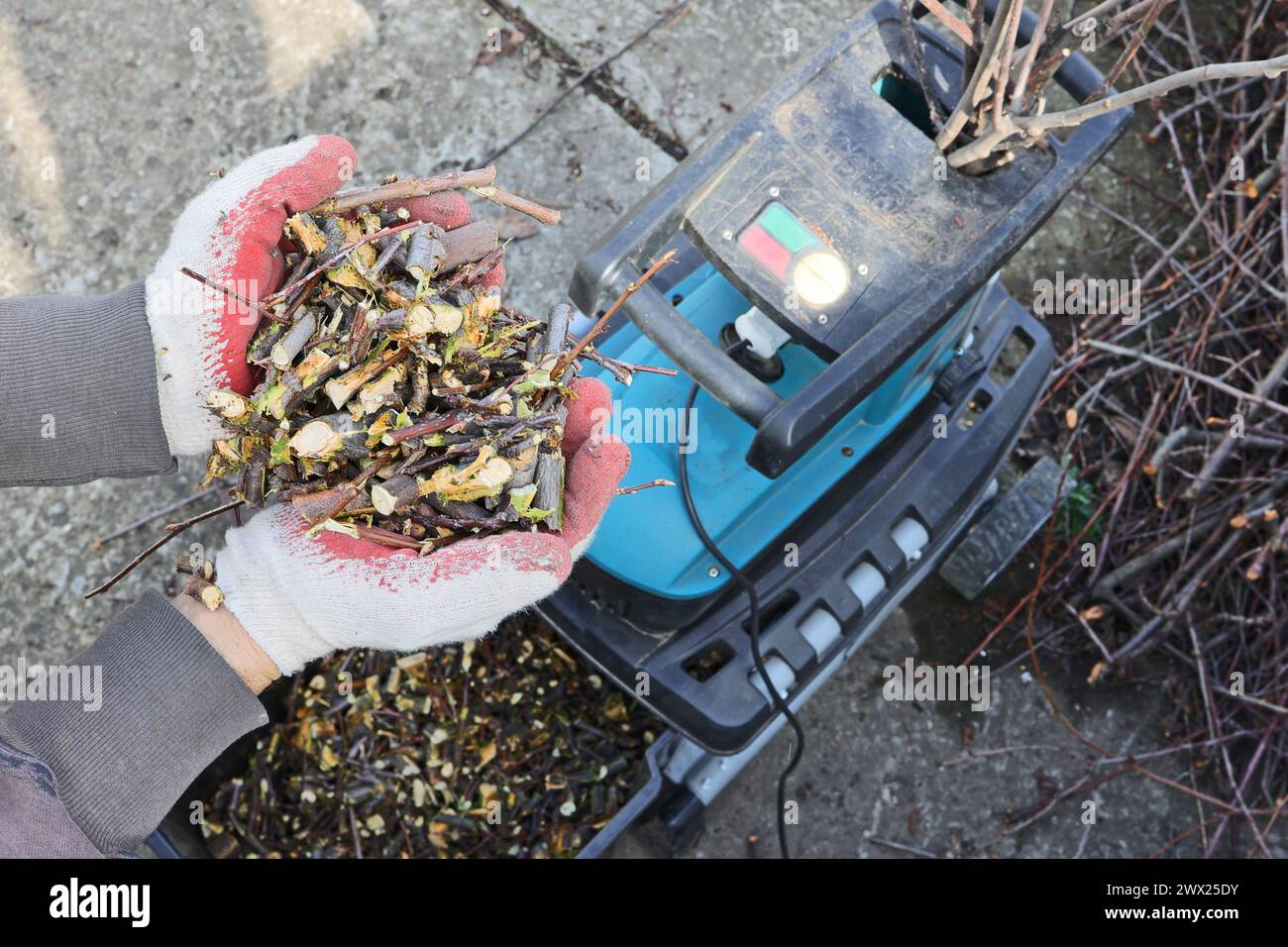 Mulch is a product of processing branches after pruning garden trees, close-up in a handful from ...