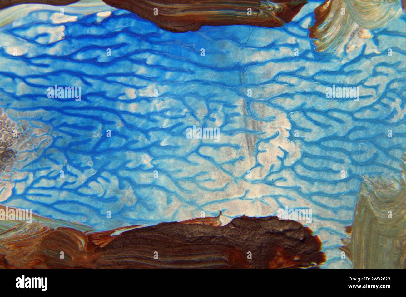 Abstract loops hi-res stock photography and images - Alamy