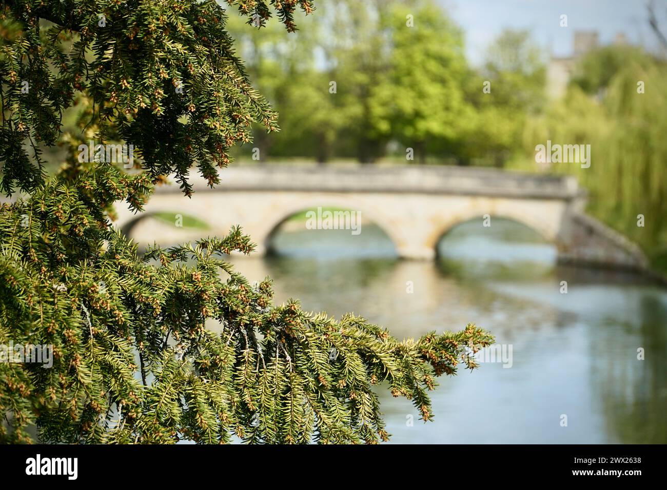 Artistic photo of Trinity Bridge over the River Cam, Cambridge ...