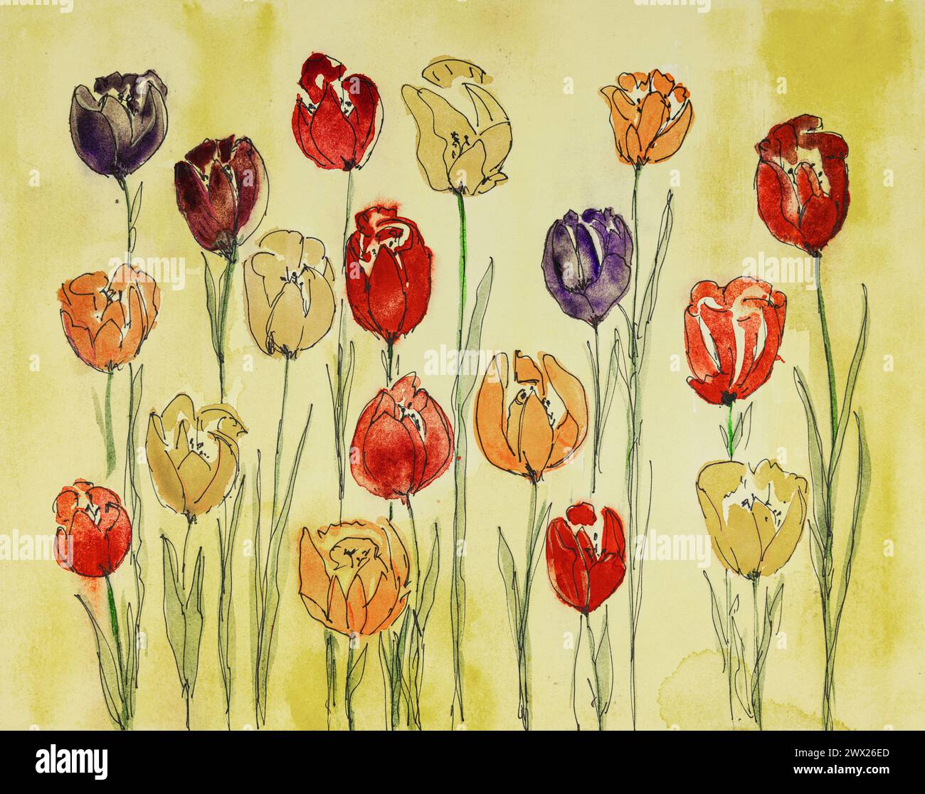 Colorful doodled tulips on a yellow background. The dabbing technique ...
