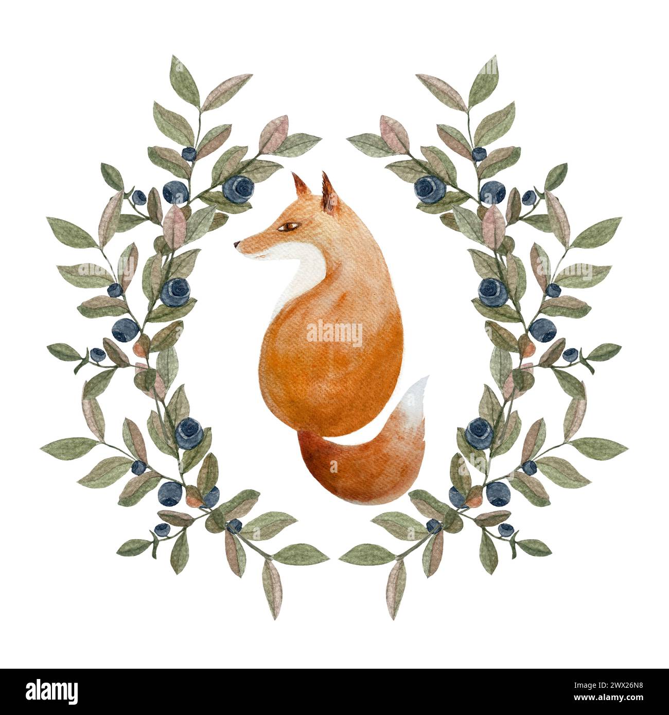 Fox in a blueberry frame watercolor flat illustration isolated on white ...