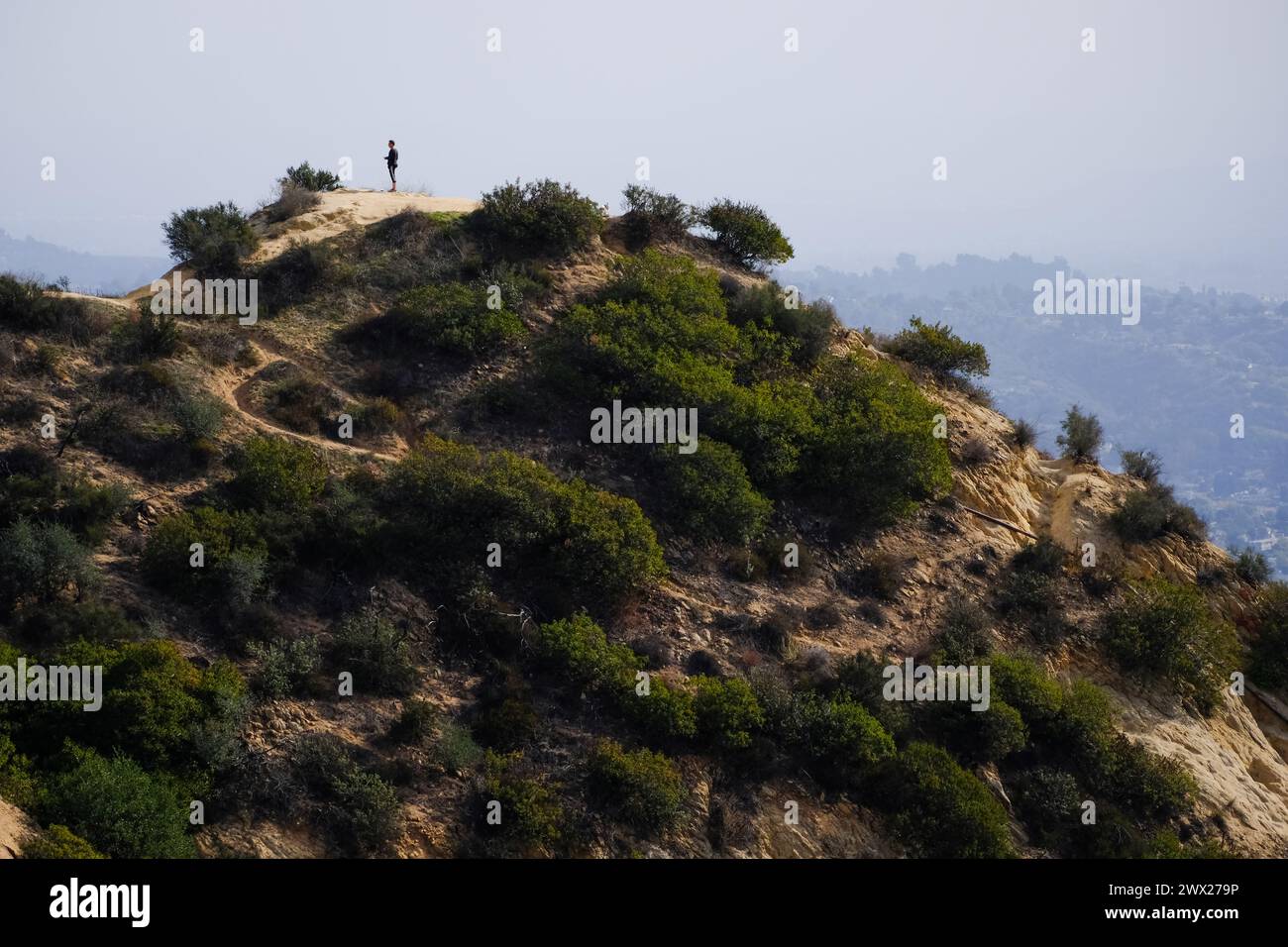 Griffith Park, Los Angeles, California, USA. With over 4,000 acres the ...