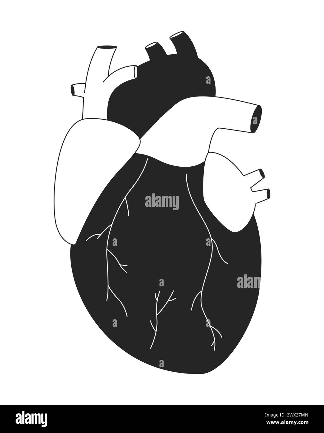 Human heart transplantation black and white 2D line cartoon object ...